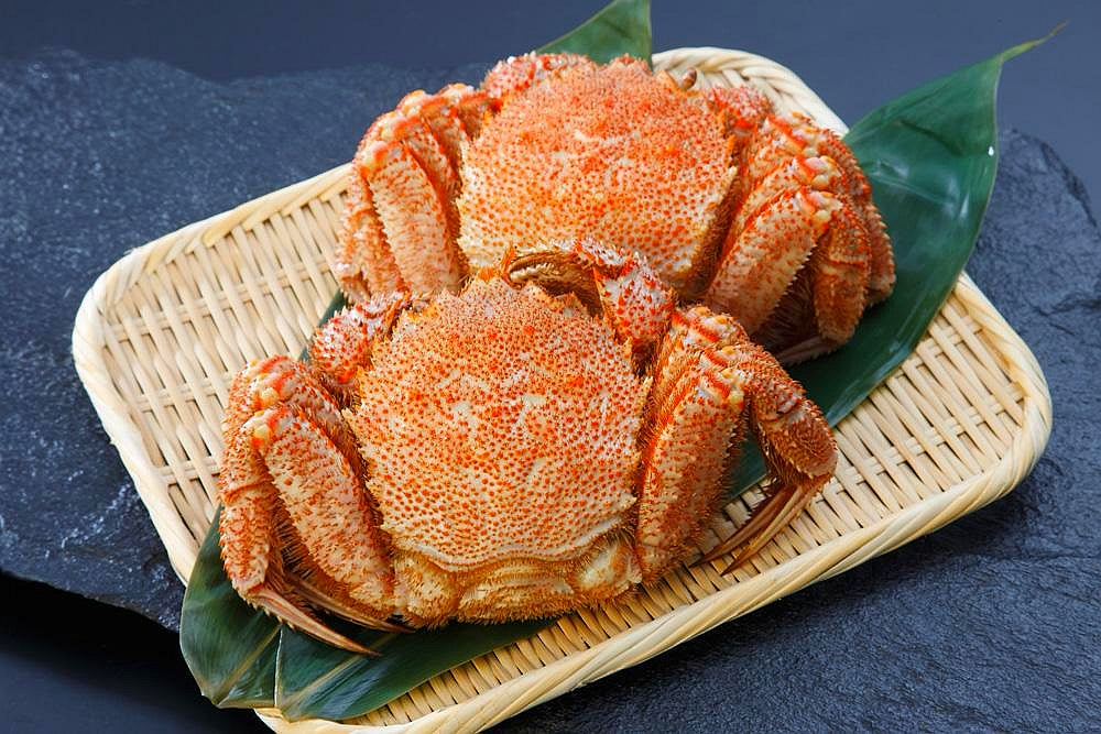Frozen Kegani ( Hairy crab ) 毛蟹 – Barbara Baking Studio